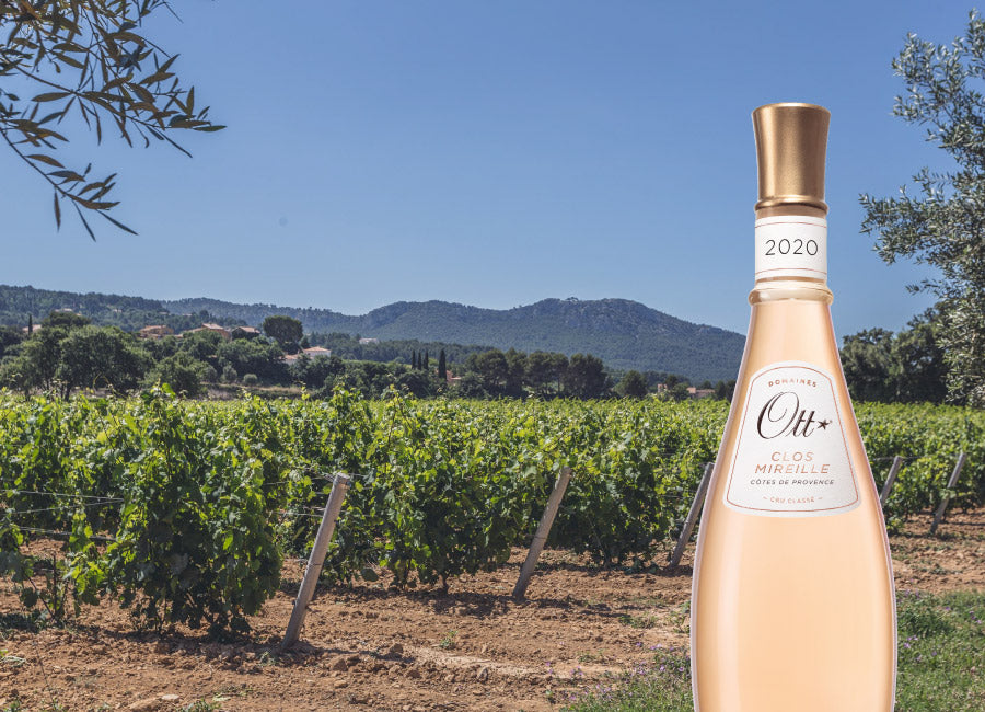Exploring Domaine Ott Clos Mireille Rosé Wine from Provence – Rose Wine ...