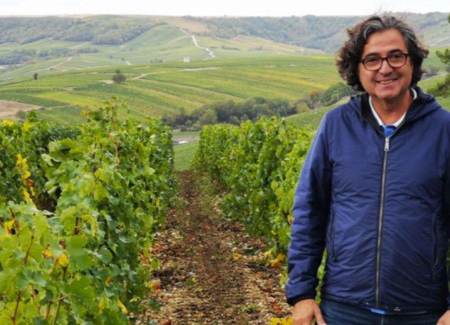 Exploring Sancerre Rosé Pascal Jolivet from the Loire Valley – Rose ...